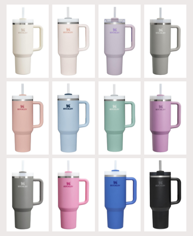 You Need to Get Yourself a Stanley Cup - A Jetset Journal